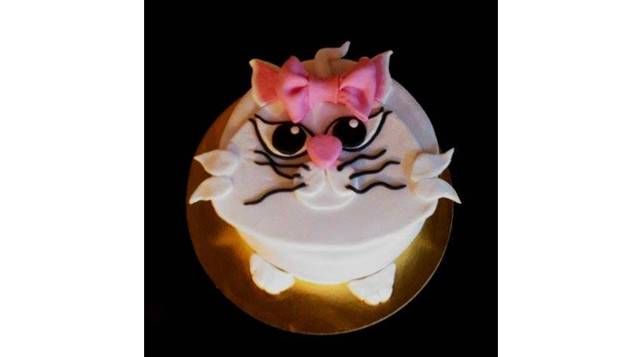 Cica torta képek - Süss Velem.com