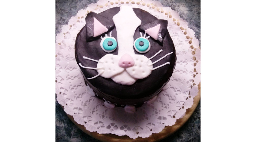 Cica torta képek - Süss Velem.com