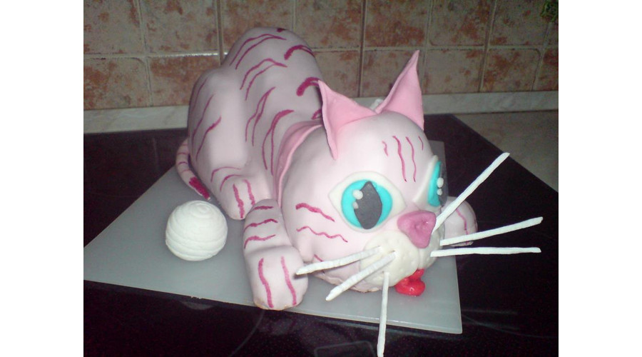 Cica torta képek - Süss Velem.com